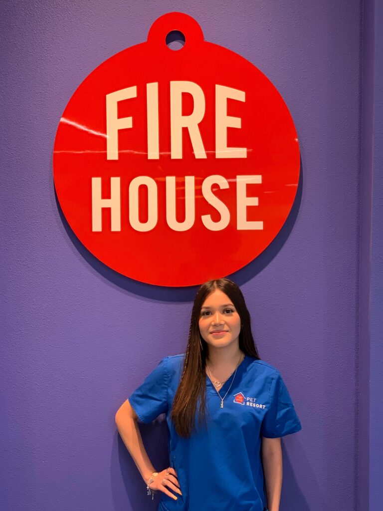 Pet Resort Team Kyle, TX 78640 - Firehouse Pet Resort